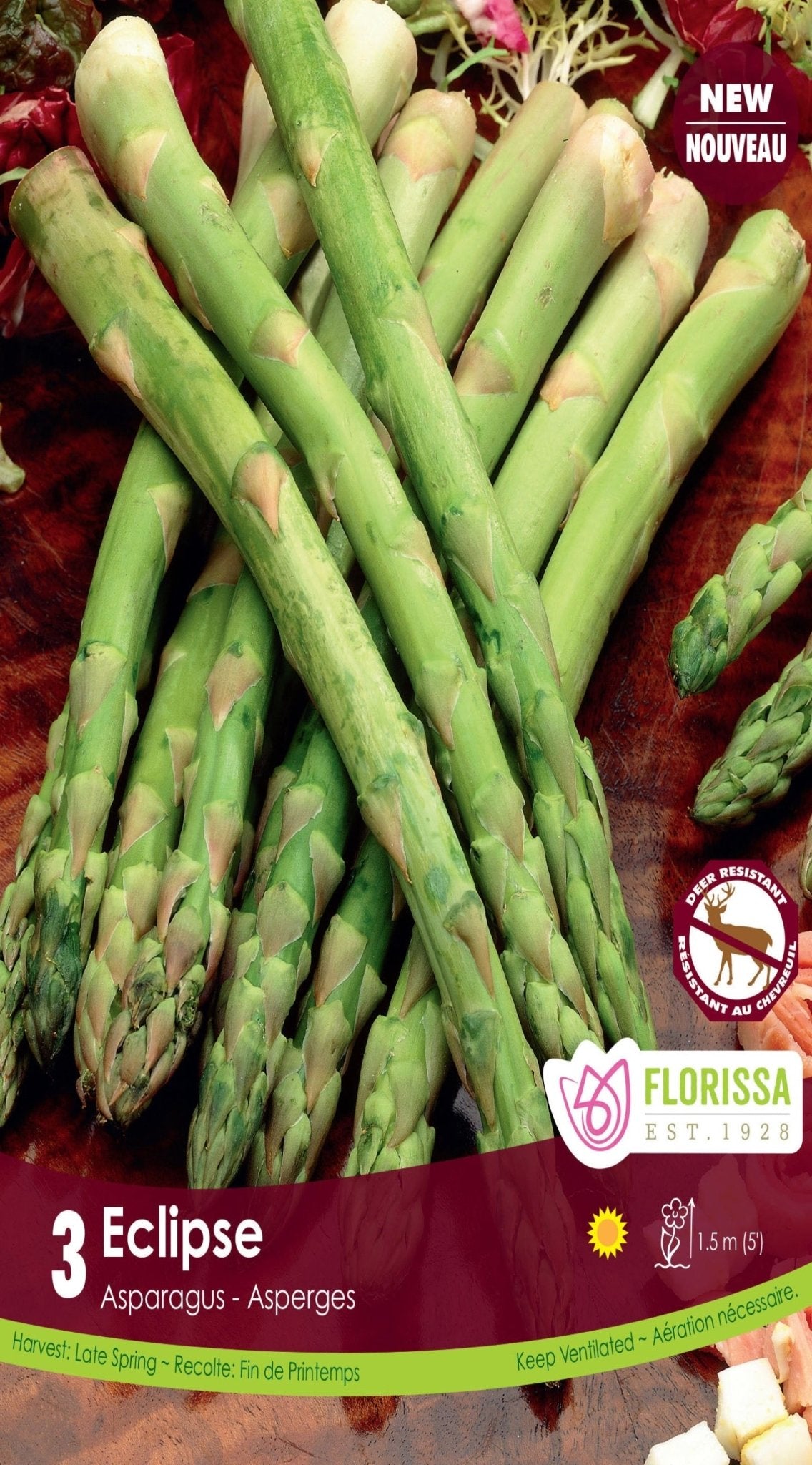 Asparagus - Eclipse - Satellite Garden Centre – Satellite Garden Centre