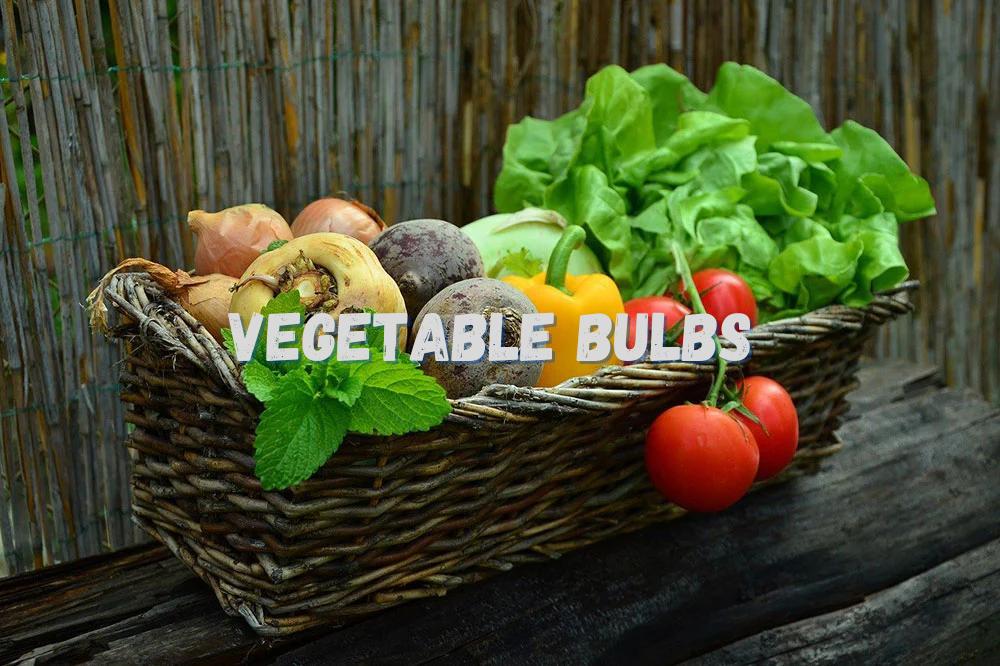 Fresh Vegetable Bulbs for your garden - Satellite Garden Centre ...