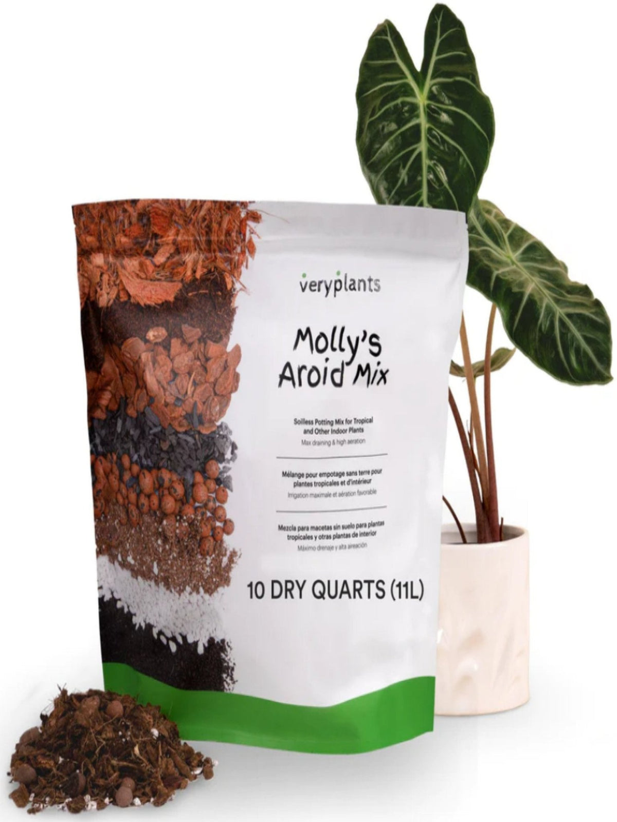 Aroid Mix - Satellite Garden Centre – Satellite Garden Centre