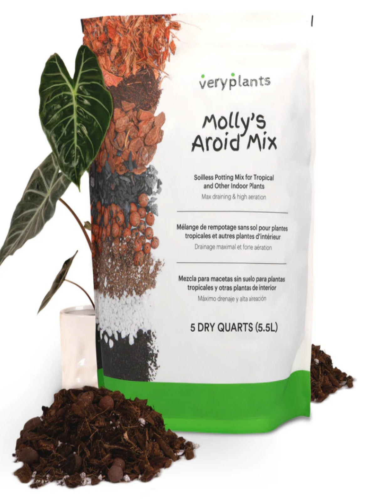 Aroid Mix - Satellite Garden Centre | Satellite Garden Centre