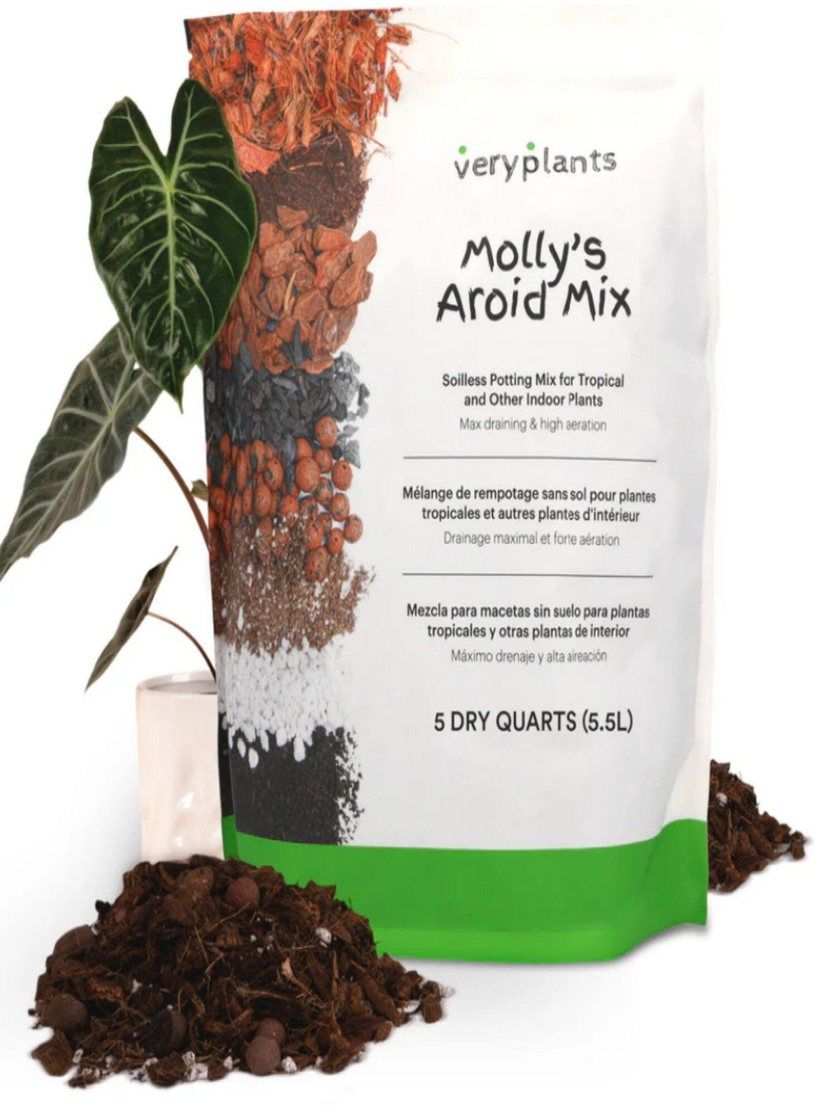 Aroid Mix - Satellite Garden Centre – Satellite Garden Centre