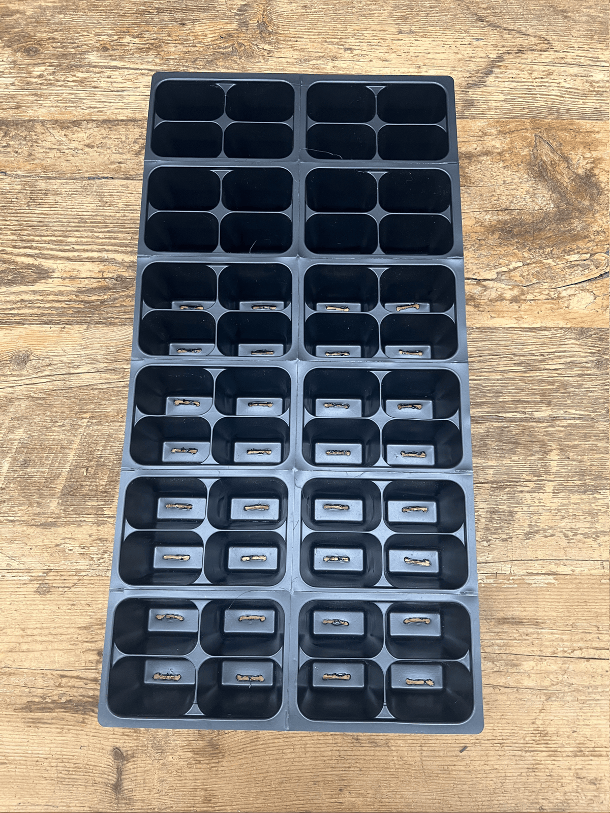 Propagation Cell Packs 48 – Satellite Garden Centre