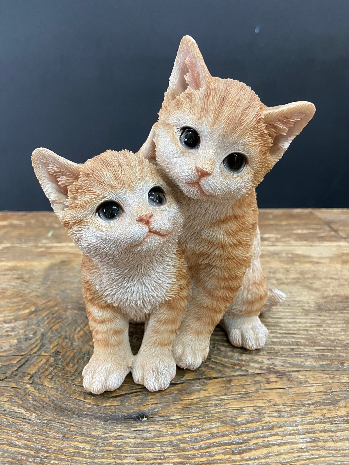 Cats Hugging - Satellite Garden Centre – Satellite Garden Centre