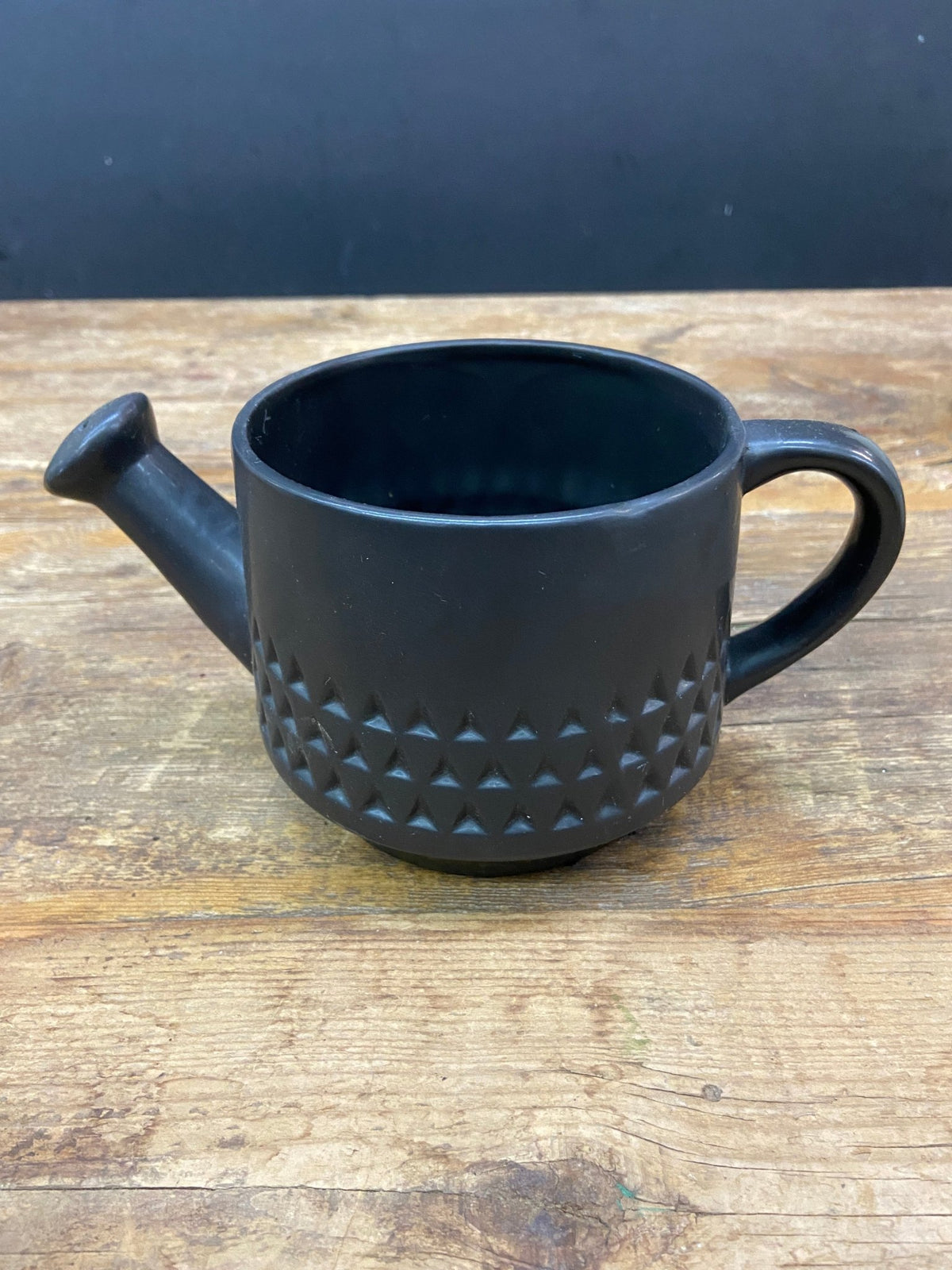 Watering Jug Pot - Satellite Garden Centre – Satellite Garden Centre